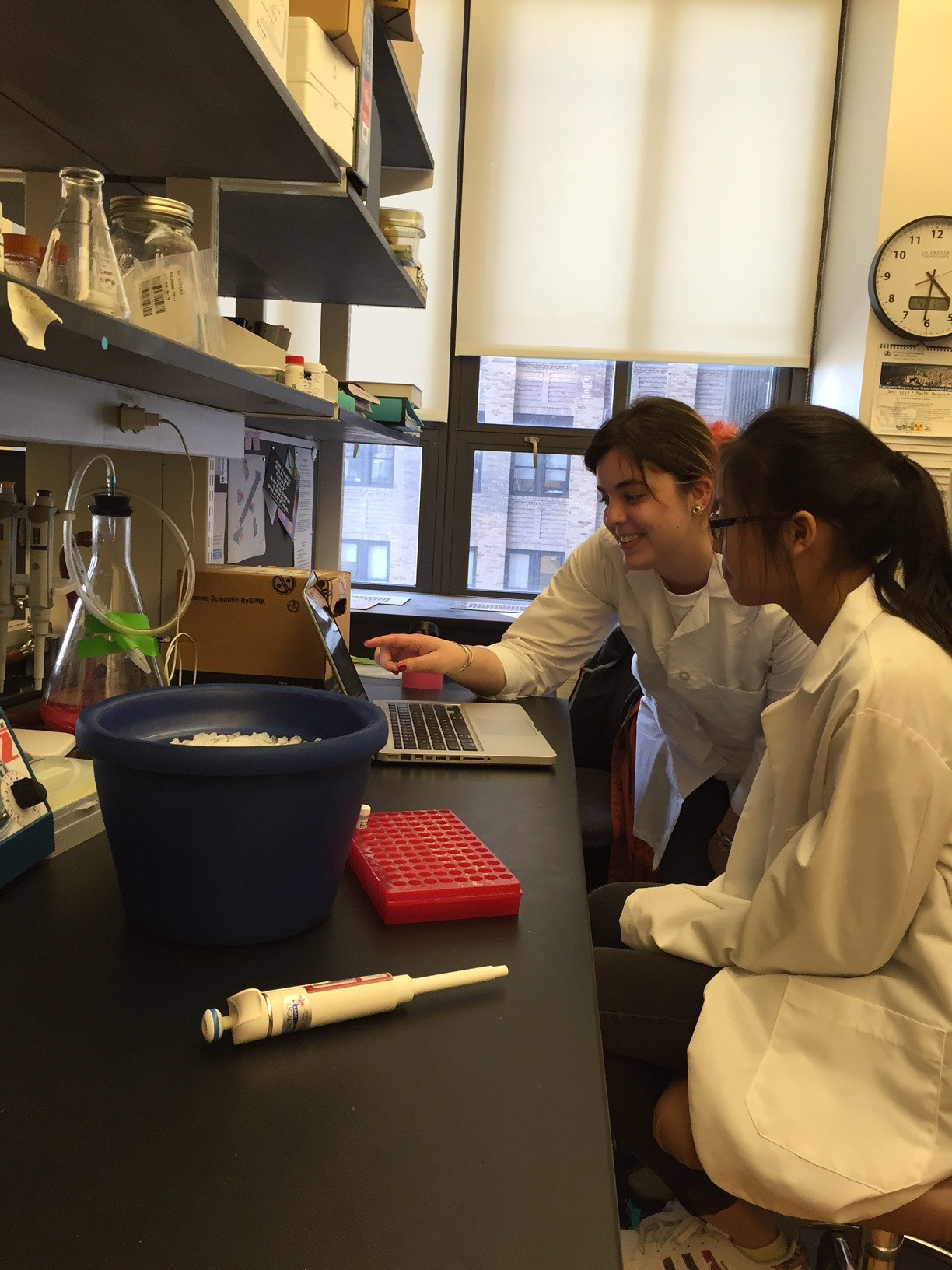 Home | Science Matters Research Internship